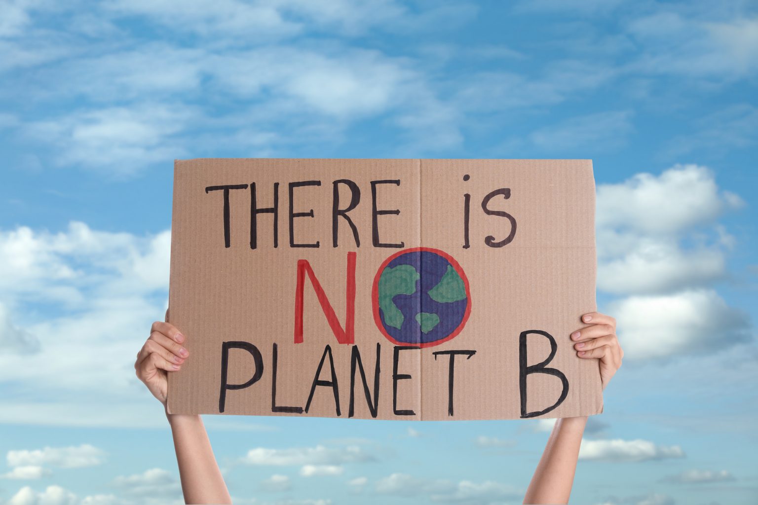 International Day of Climate Action - Built Well Solar, solar energy ...
